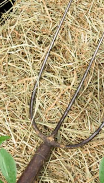 Denny Wiggers Garden Center Supplies | Salt Hay Available for sale ...